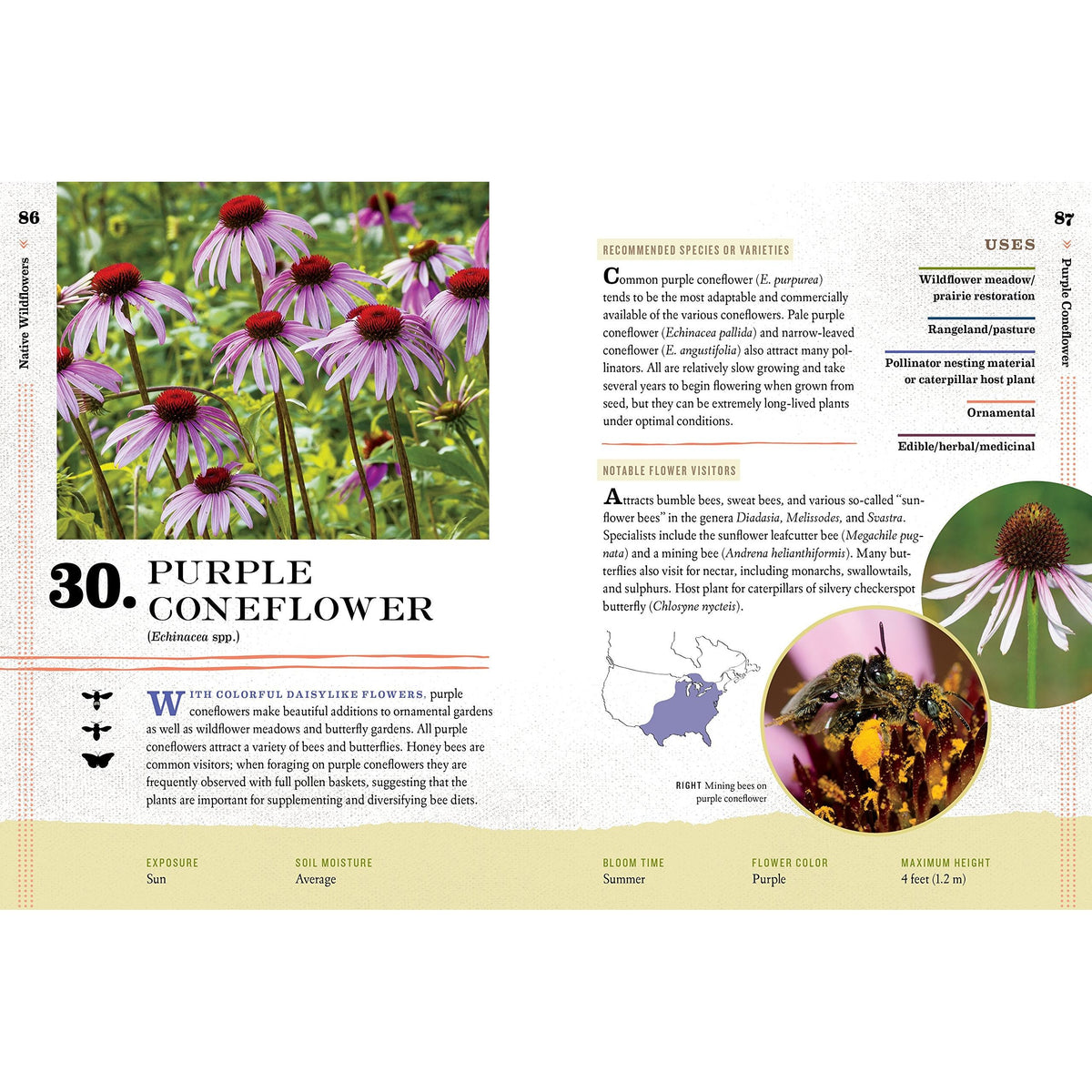 expg2_1200x1200.jpg?v=1713278600